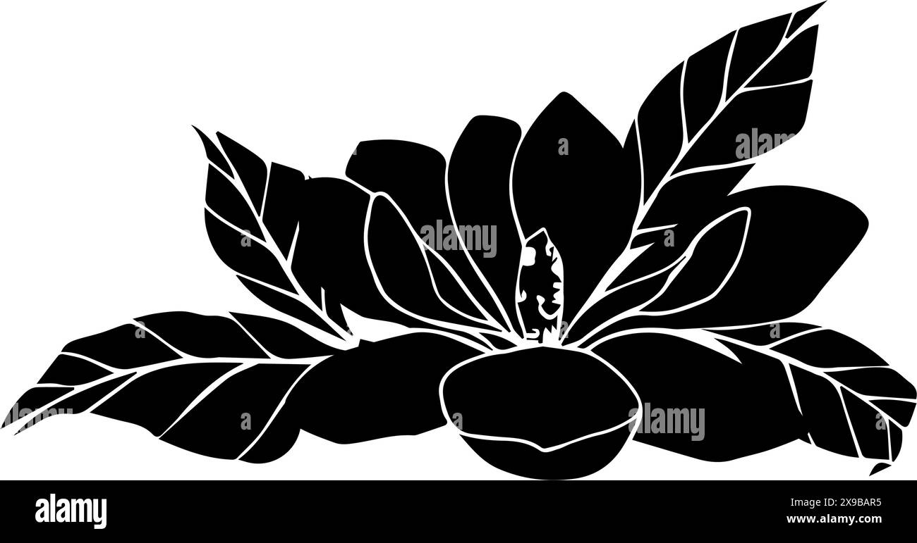 Hand drawn vector magnolia flower, black silhouette illustration ...