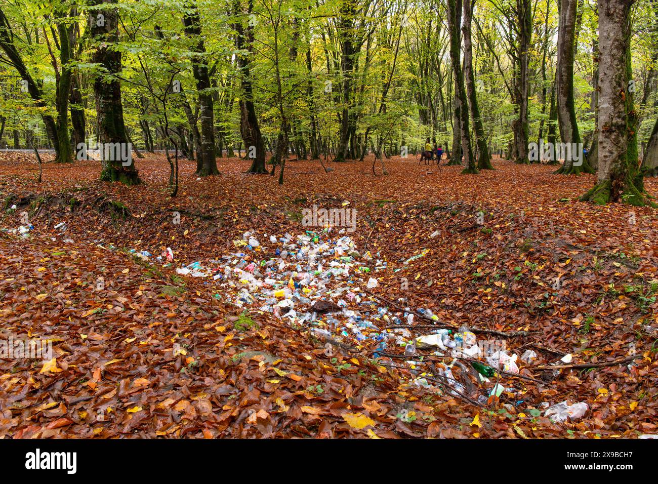 Dump in the forest hi-res stock photography and images - Alamy