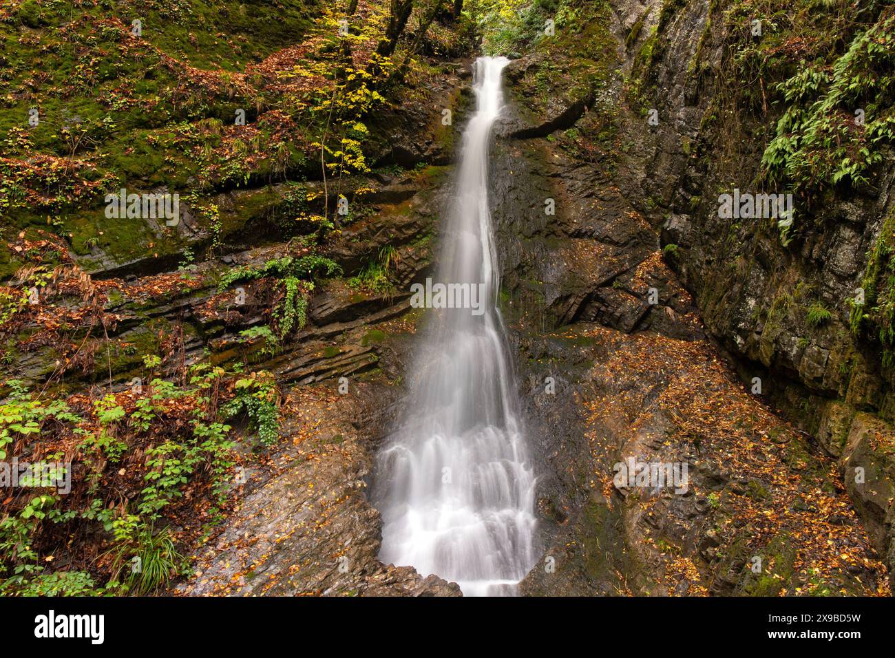 Beautiful mountain forest waterfall Seven beauties. Ismayilli region ...