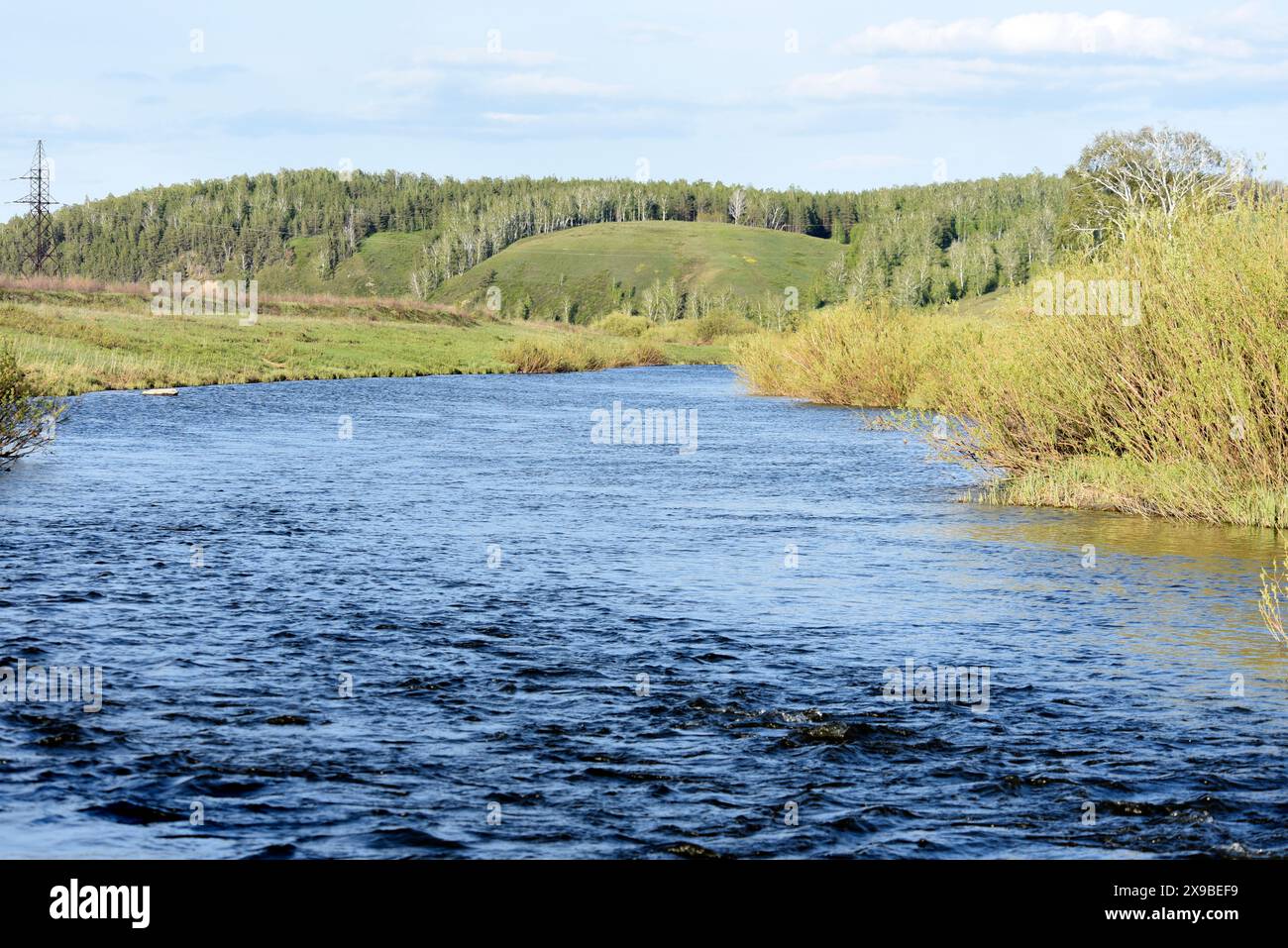 The blue water of the spring river against the background of green ...
