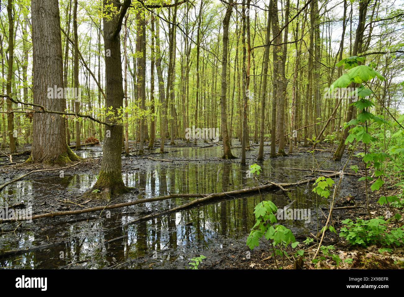 Moor landscape river storm hi-res stock photography and images - Alamy