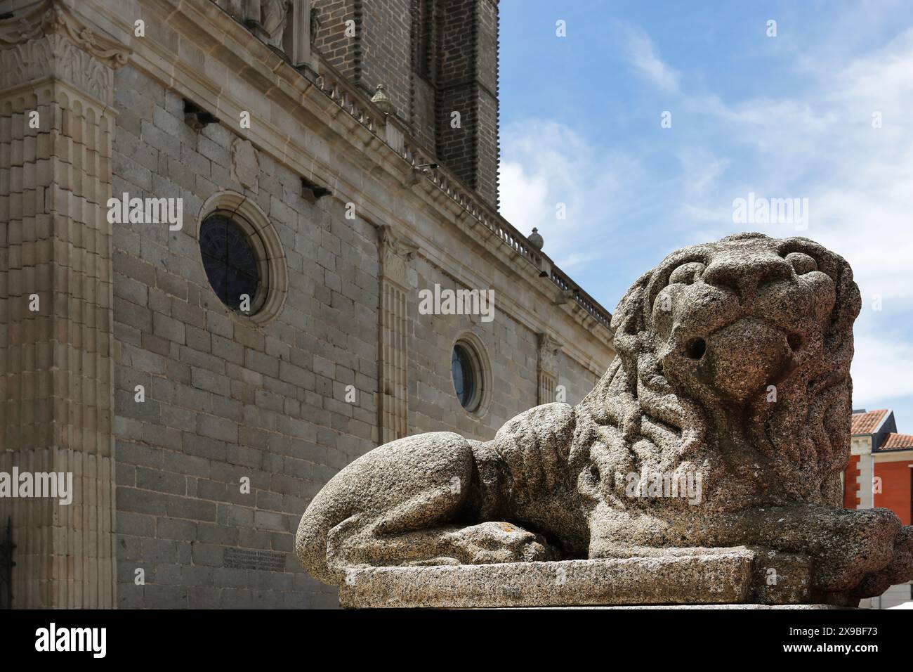 Lion closeup outside cathedral hi-res stock photography and images - Alamy