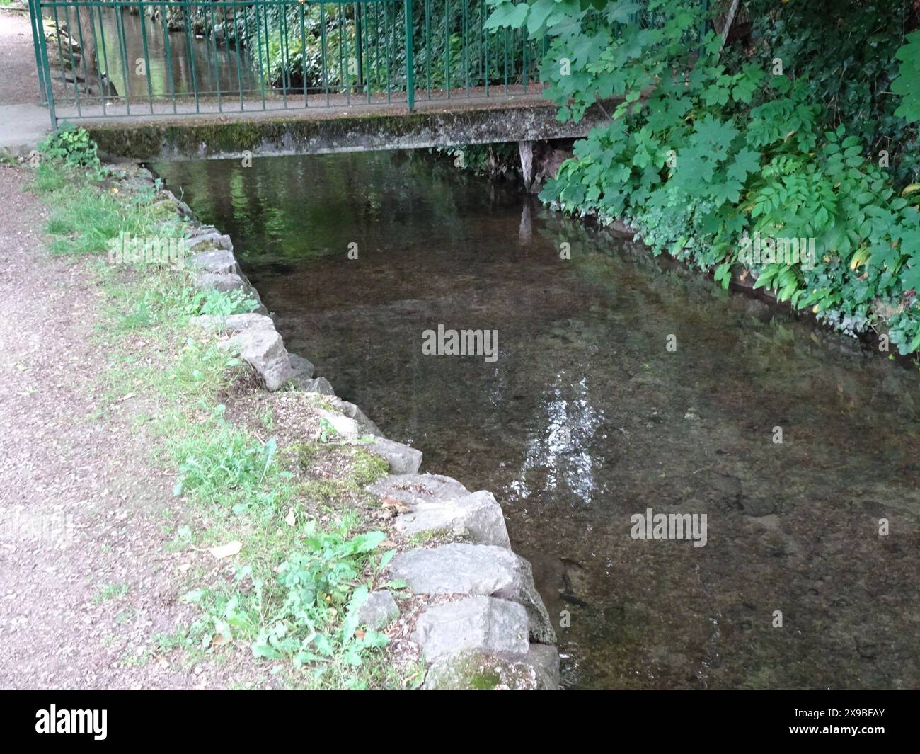 Bach, Brücke, Steg, Rosarium, bühende Rosen, Baden bei Wien, 2024 ...