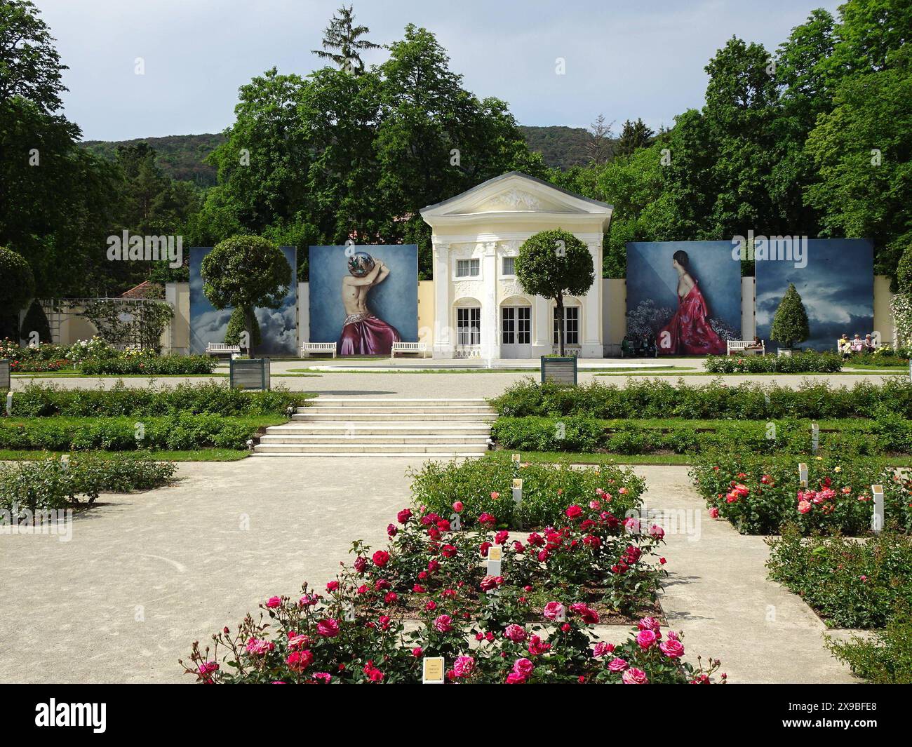Welt.Natur.Erbe, Open Air Fotoausstellung, Rosarium, bühende Rosen ...