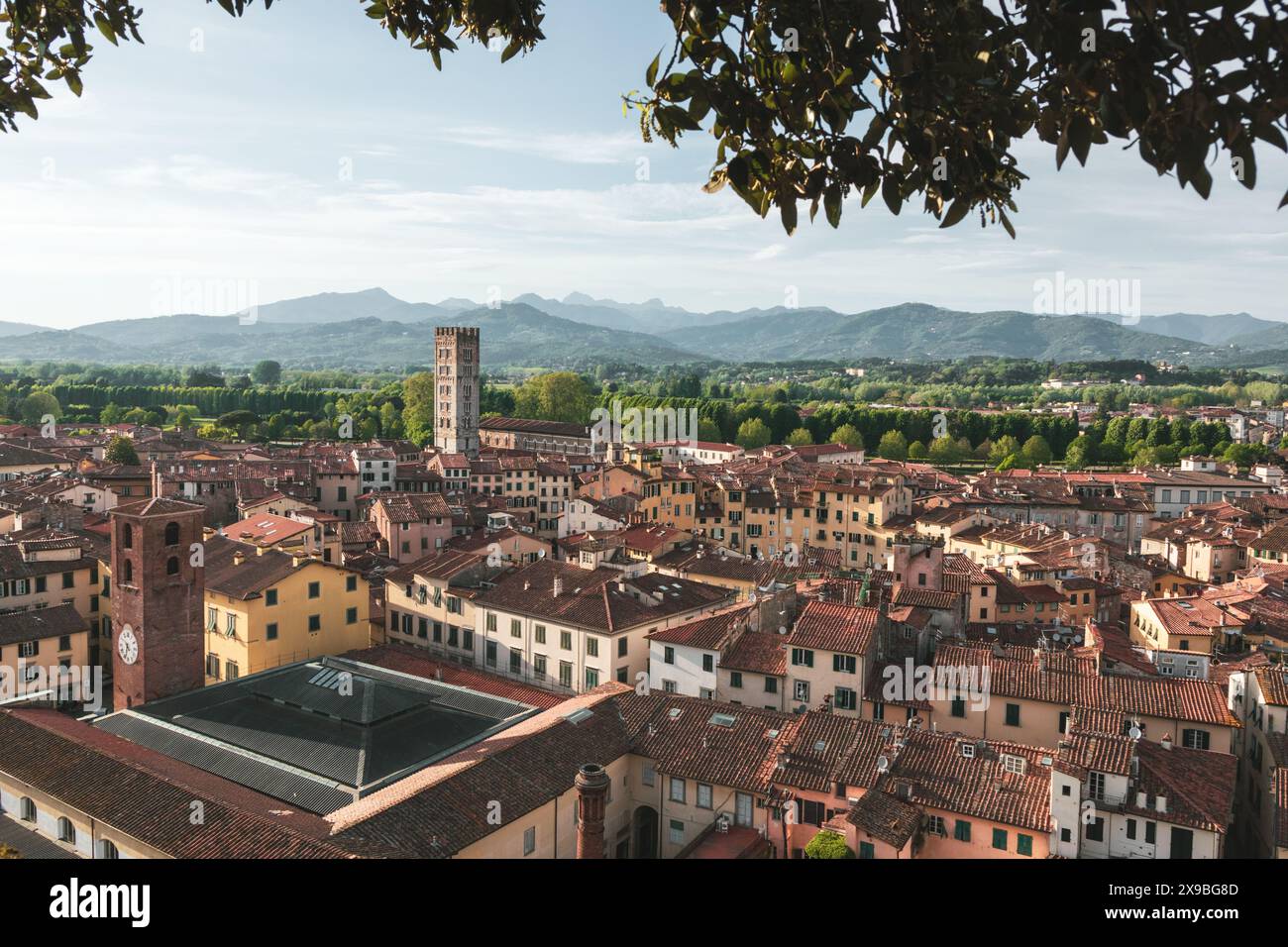 The rooftops and towers of the historic medieval city of Lucca in ...