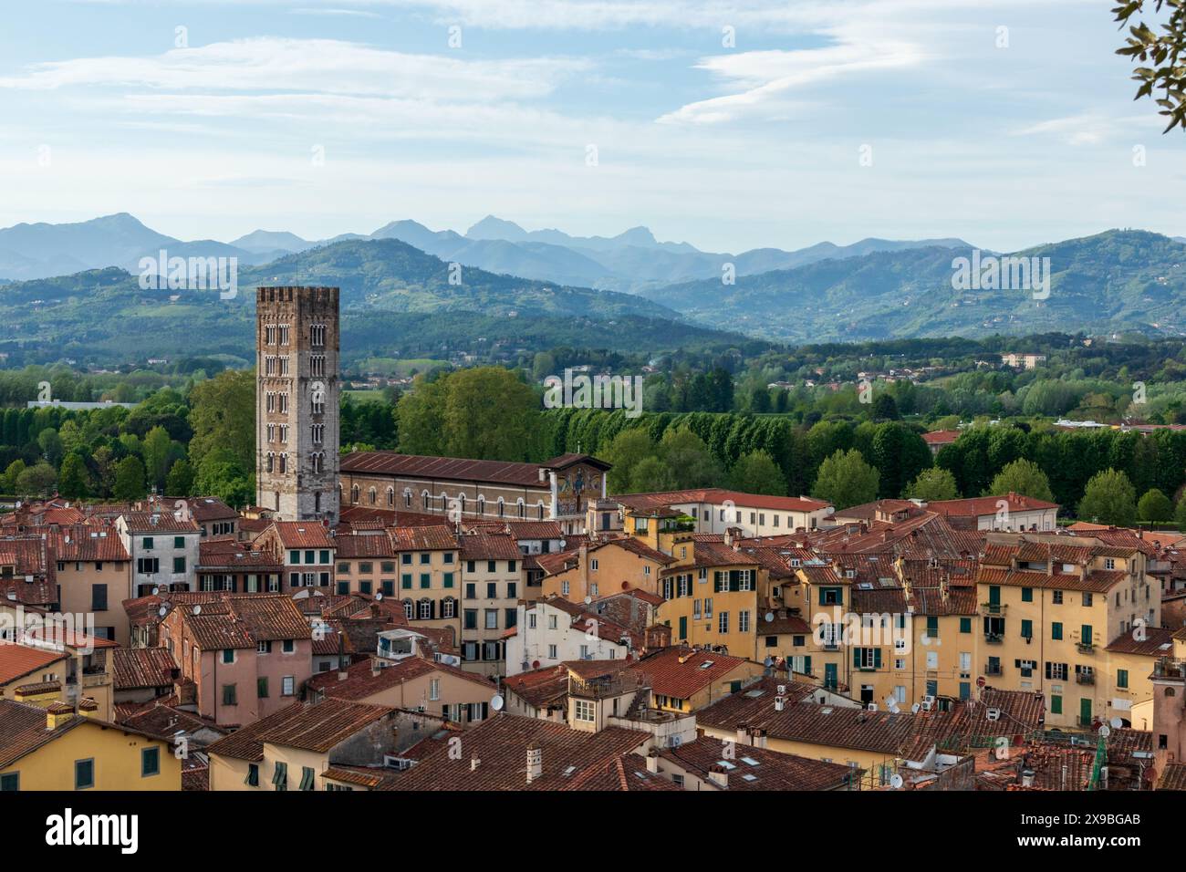 The rooftops and towers of the historic medieval city of Lucca in ...