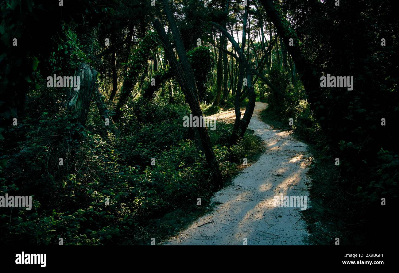 The area near Punta Marina Terme, Italy Stock Photo - Alamy