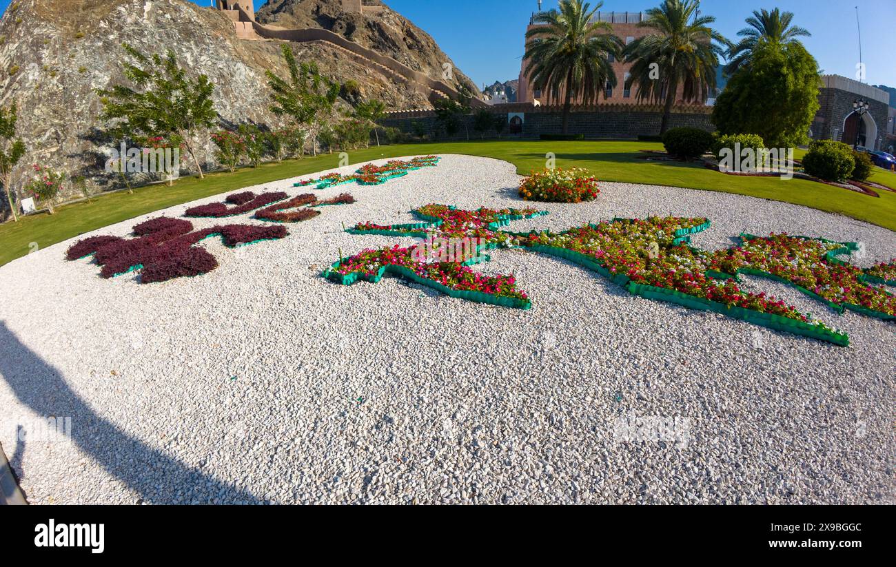 Photography of a small garden in Oman, Muscat during spring sunny day ...