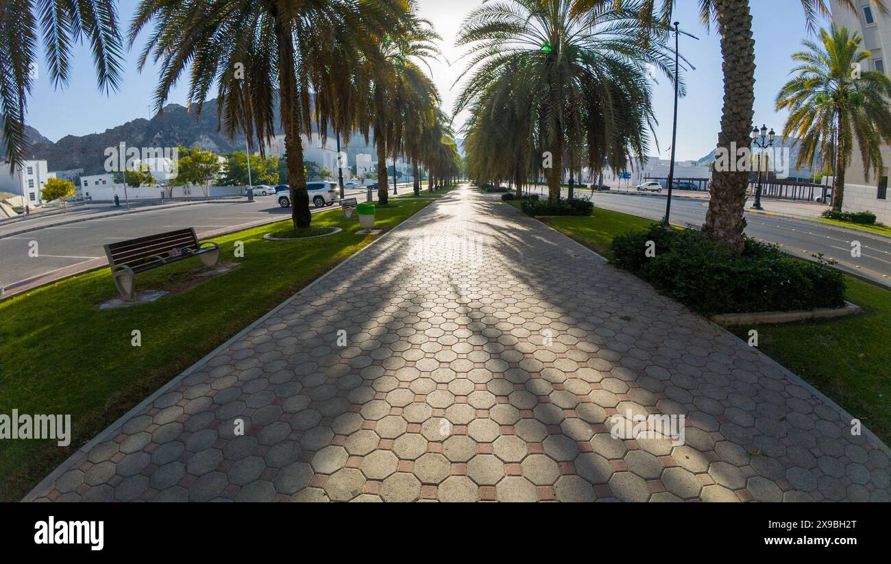Photography of an empty footpath with palm trees in Oman, Muscat old ...