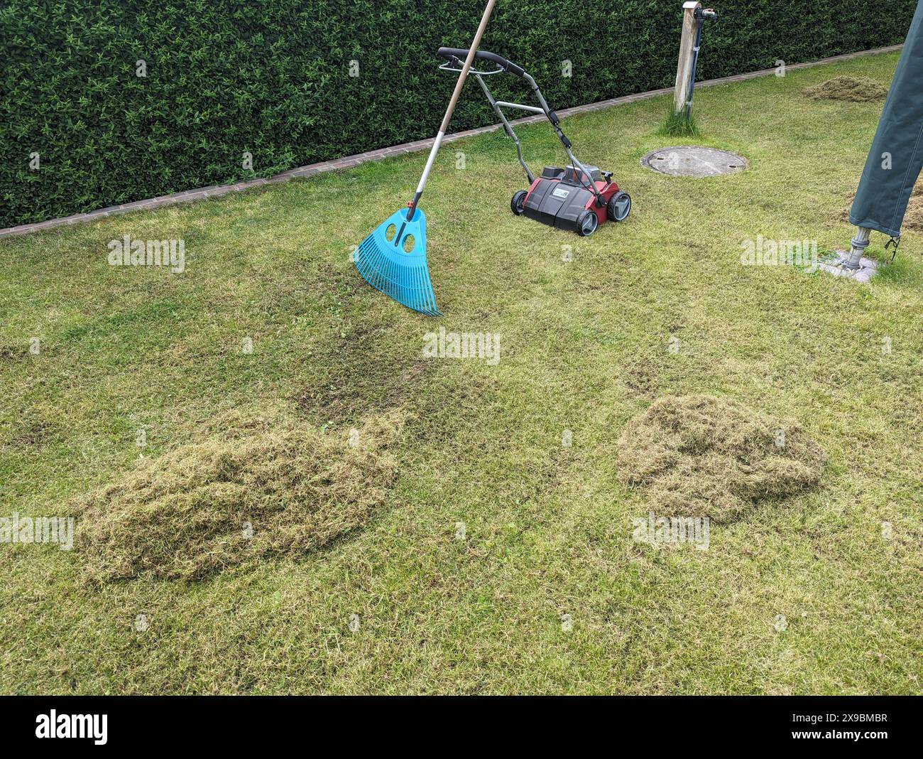 Essential lawn care tools, including a lawn mower and blue rake, in ...