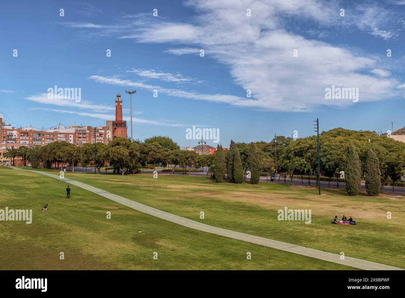 People and dog enjoying the grass of Parque del Batel with trees and ...