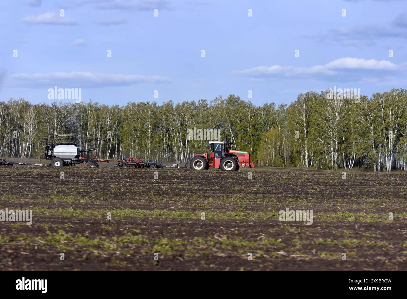 Agricultural machines for sowing grain in the field. Red tractors in ...