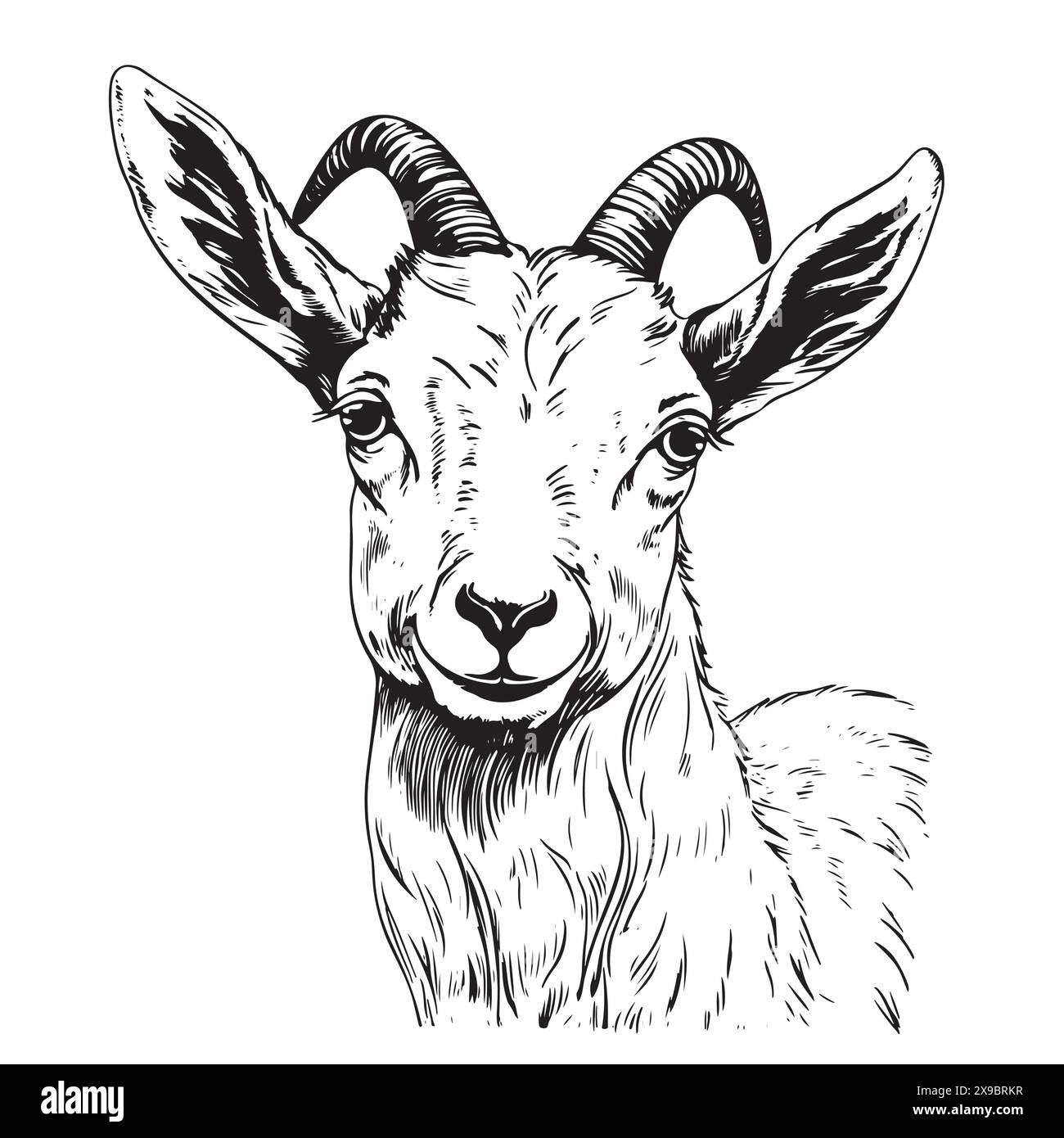 goat hand drawn vector illustration realistic sketch Stock Vector Image ...