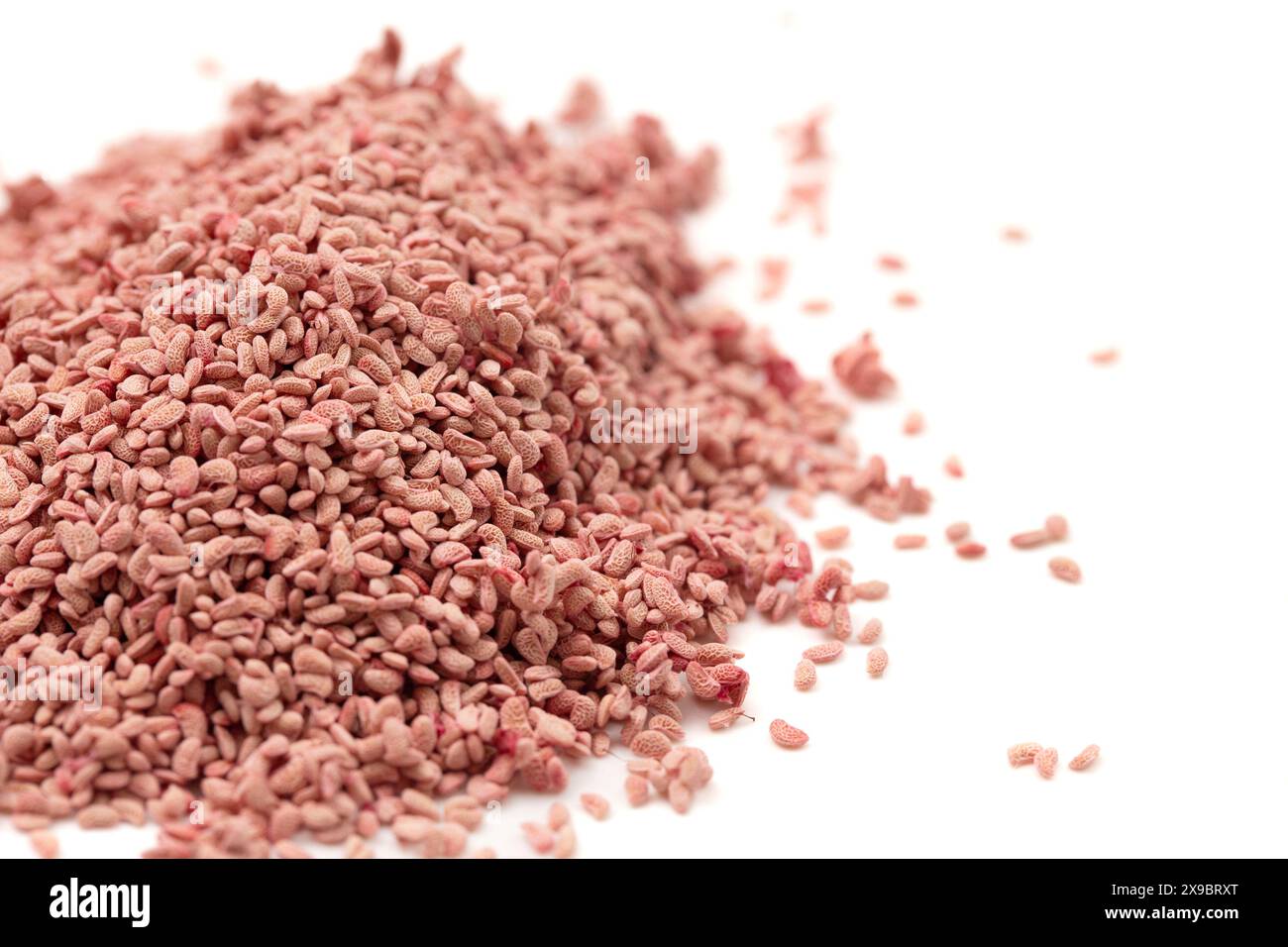 Pile of Red Raspberry Seeds Isolated on a White Background Stock Photo ...
