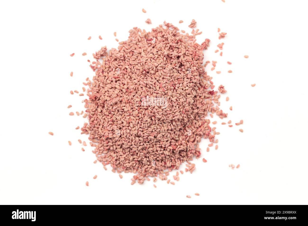Pile of Red Raspberry Seeds Isolated on a White Background Stock Photo ...