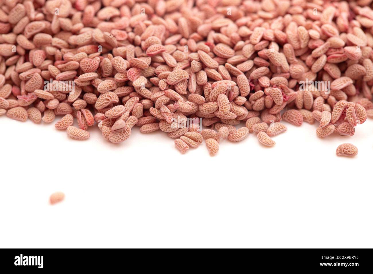 Pile of Red Raspberry Seeds Isolated on a White Background Stock Photo ...