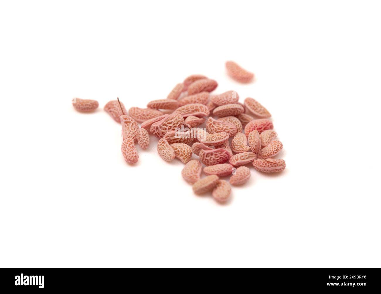 Pile of Red Raspberry Seeds Isolated on a White Background Stock Photo ...