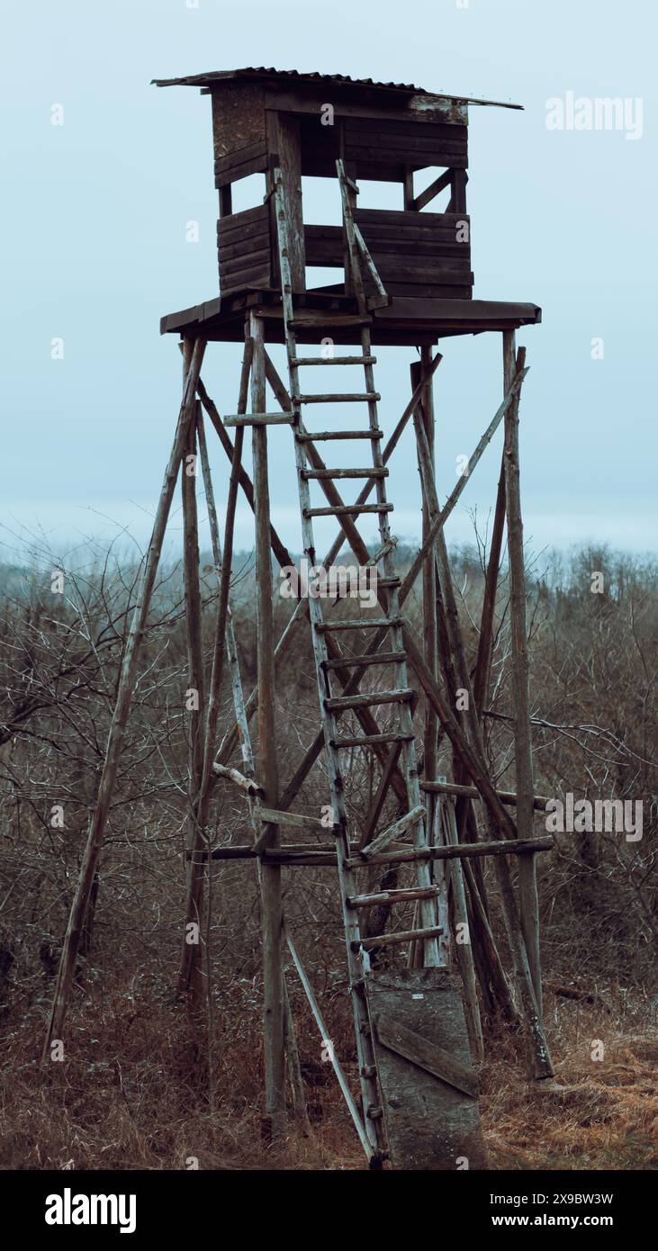 Abandoned tower in the forest. Old hunters seat in the woods Stock ...
