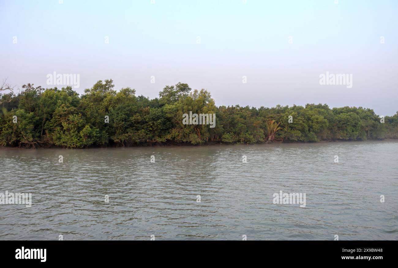 Sundarbans National Park is a large coastal mangrove forest, shared by ...