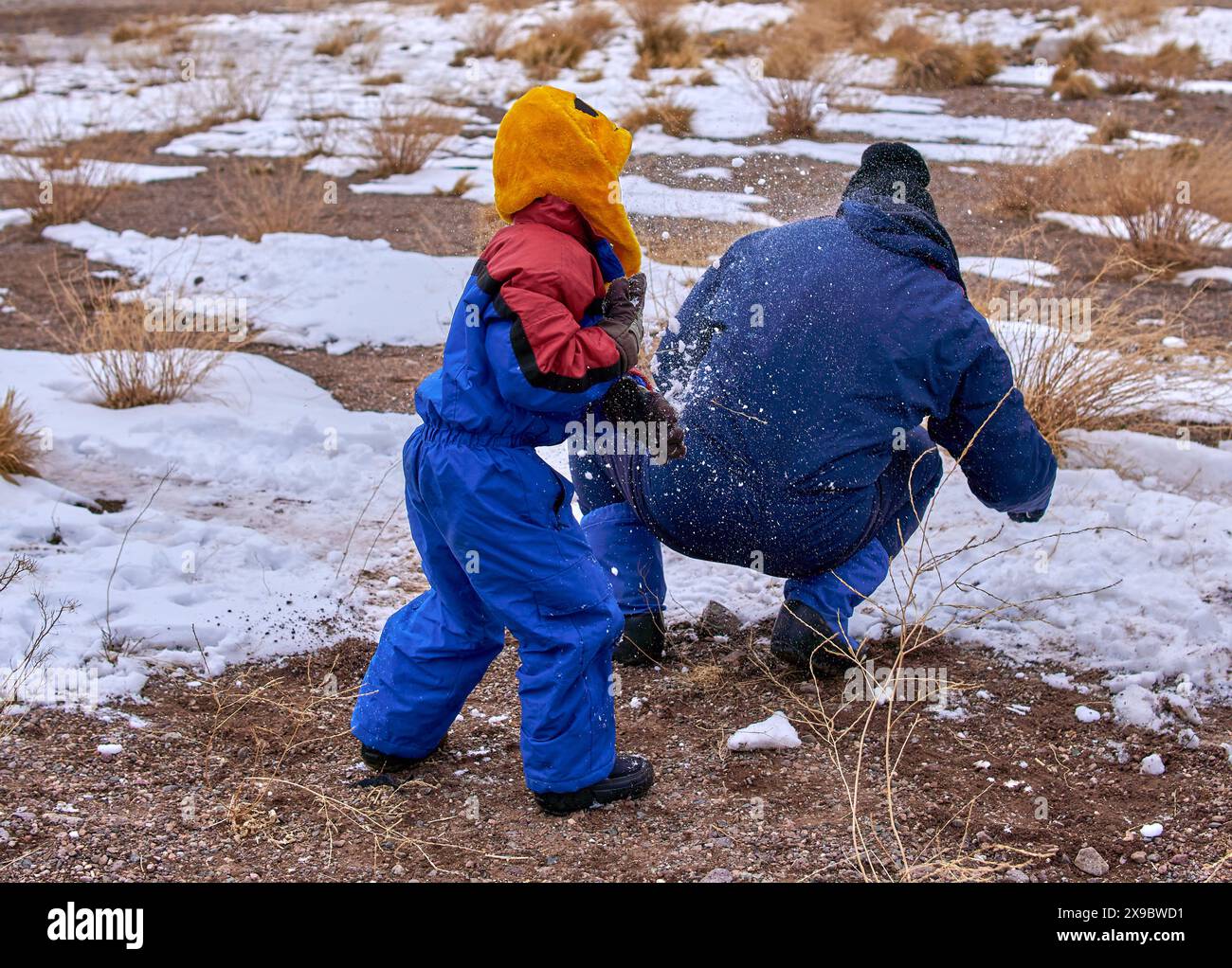 son throwing snowball on his dad's back. playing with family on ...