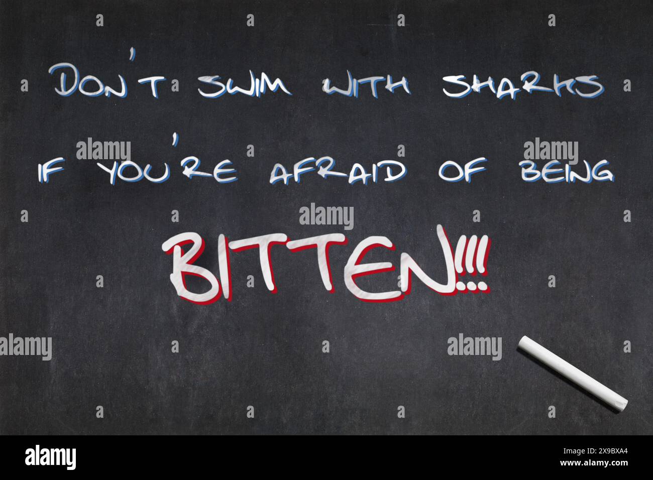 Blackboard with a quote written in the middle saying : “Don't swim with ...