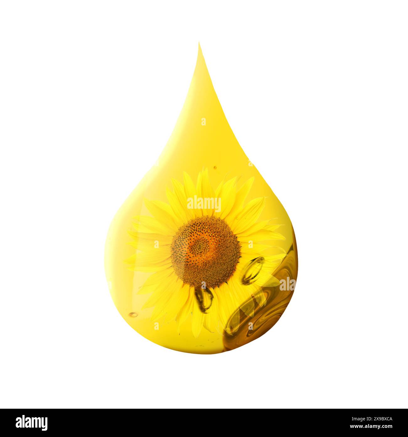 Cooking oil drop with sunflower inside on white background Stock Photo ...