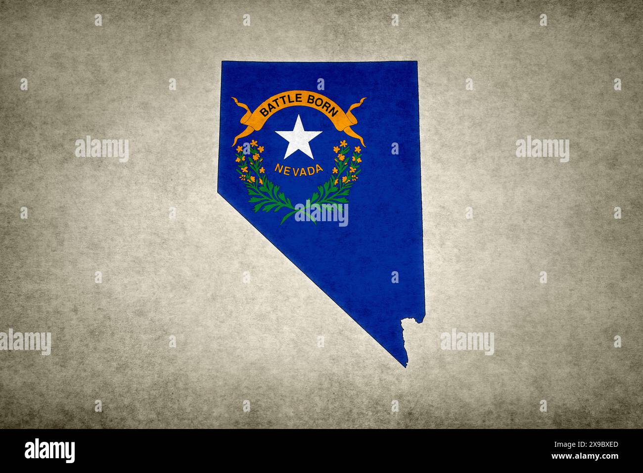 Grunge map of the state of Nevada (USA) with its flag printed within ...