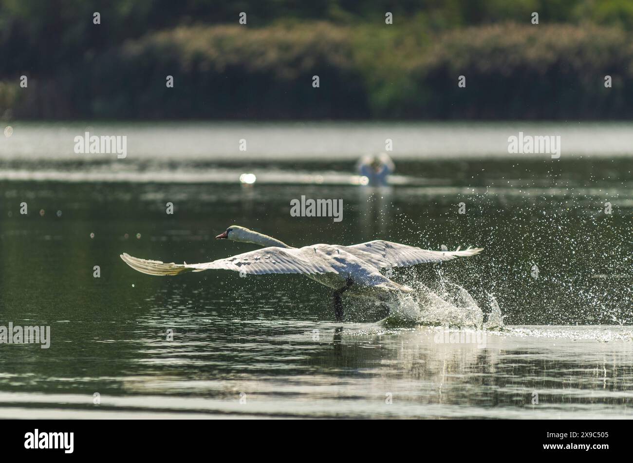 Ready to take off Stock Photo - Alamy