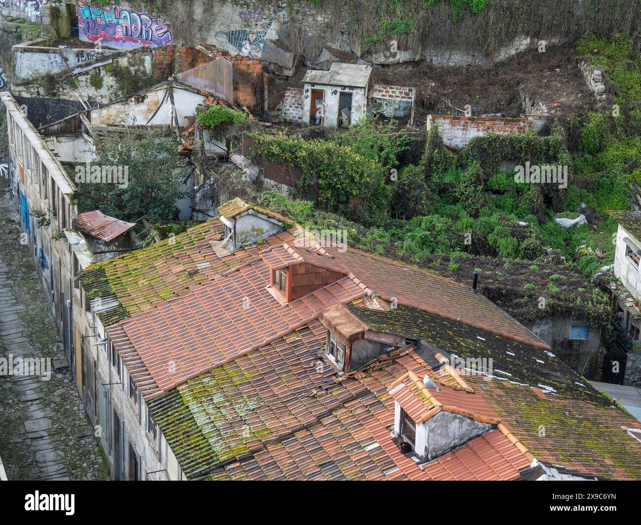 Abandoned buildings with mossy roofs and graffiti, surrounded by ...