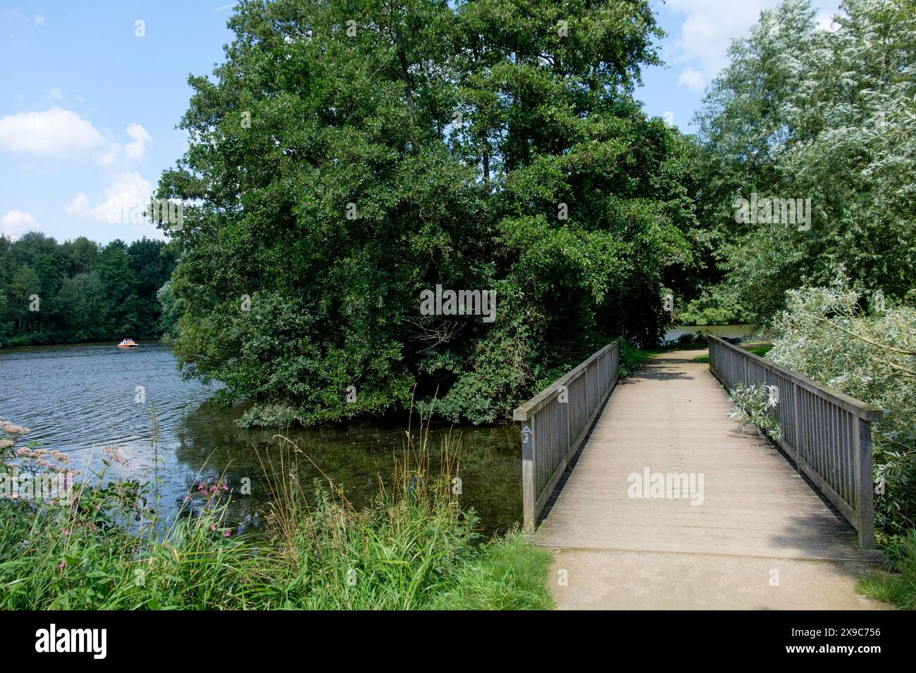 A wooden footbridge leads through a quiet forest path along a lake with ...
