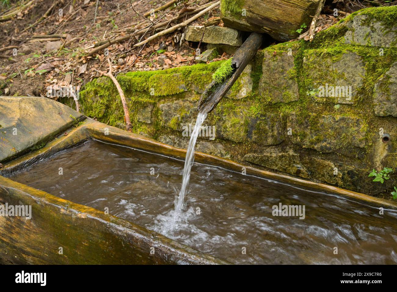 Wooden trough, well, fresh water, forest on Blauen mountain ...