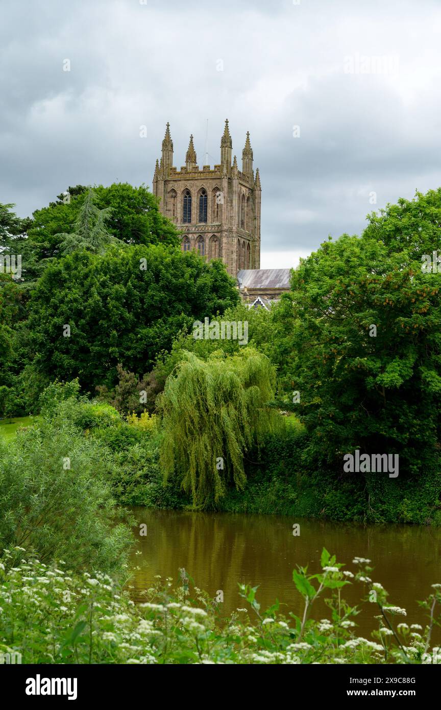 The River Wye with a view of Hereford Cathedral Hereford England UK ...