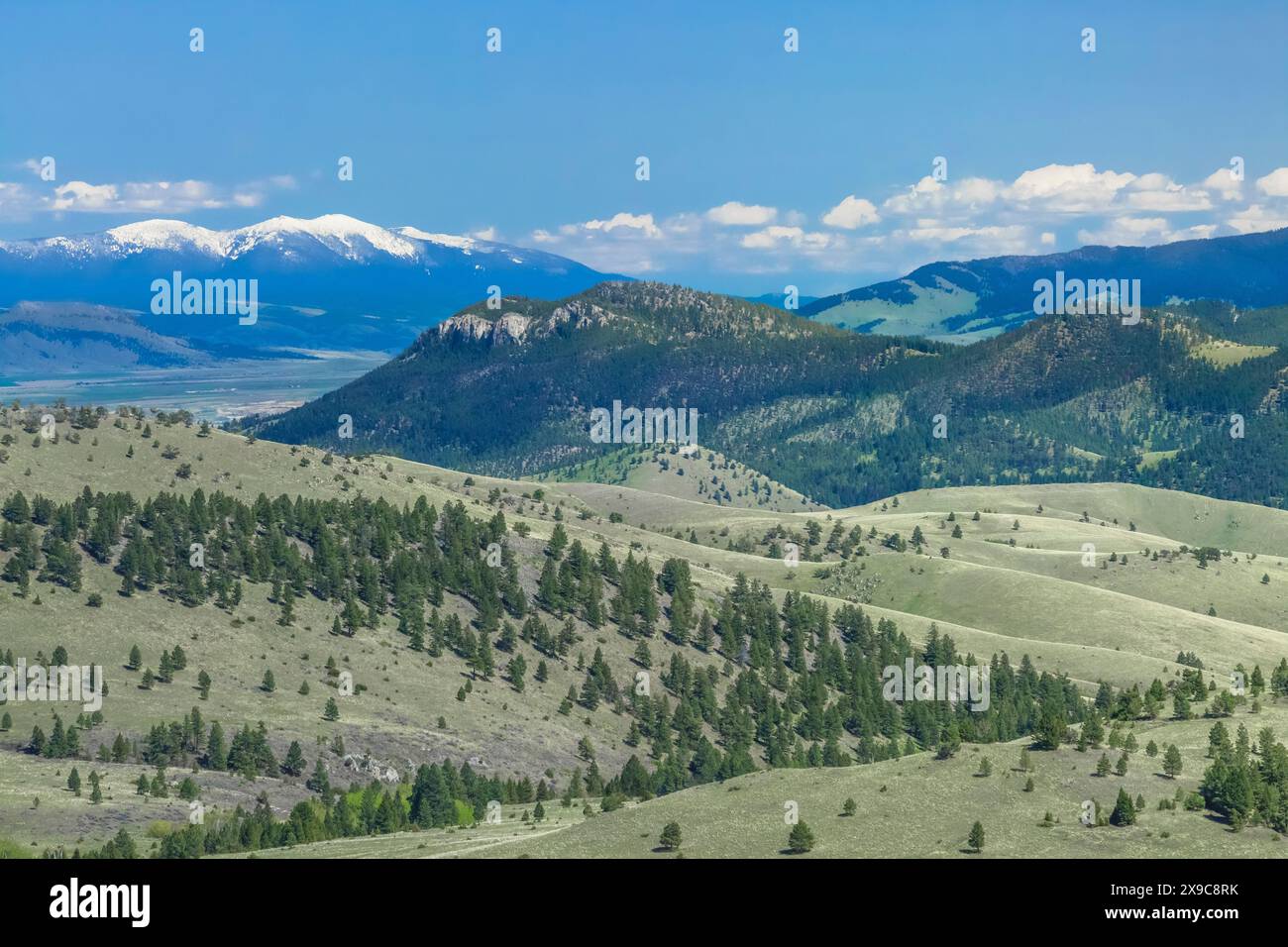 Mt d5915 hi-res stock photography and images - Alamy