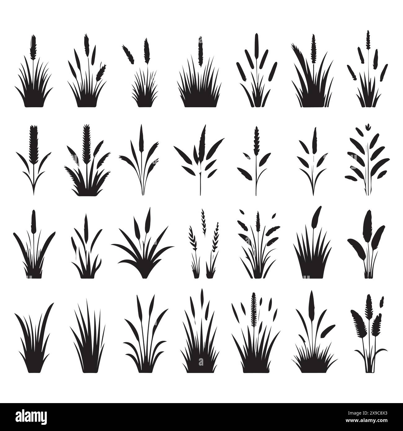 Silhouette set of grass. Vector isolated illustration Stock Vector ...