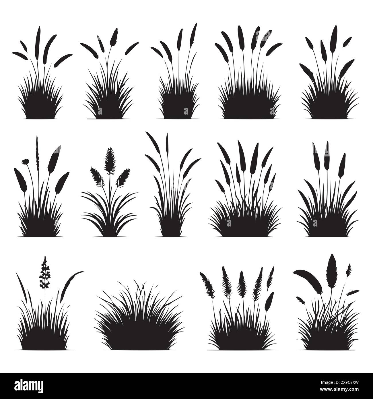 Silhouette set of grass. Vector isolated illustration Stock Vector ...
