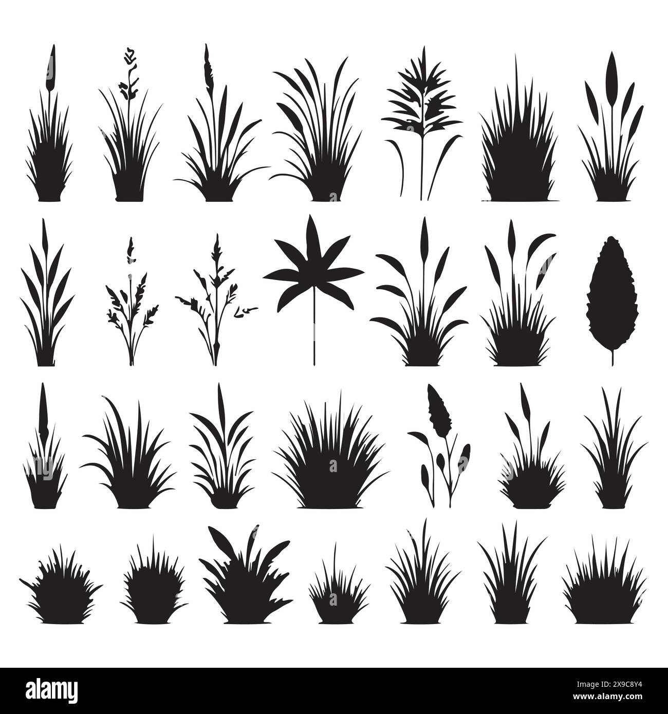 Silhouette set of grass. Vector isolated illustration Stock Vector ...