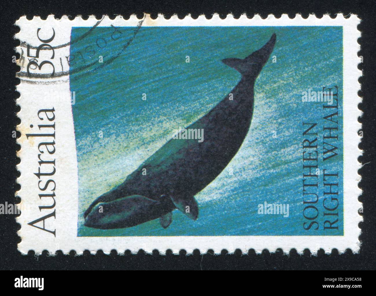 AUSTRALIA - CIRCA 1982: stamp printed by Australia, shows Southern ...