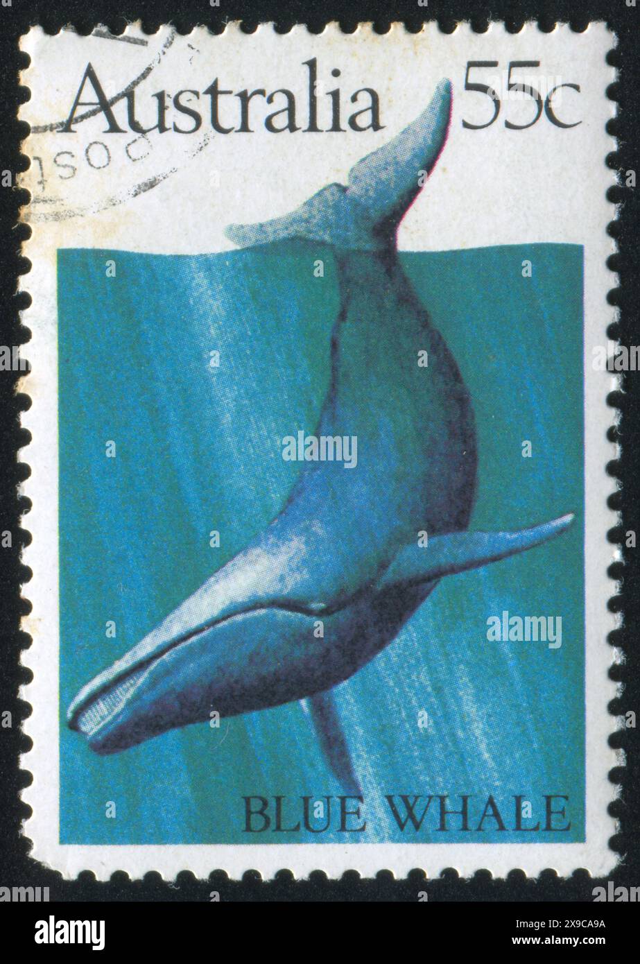 AUSTRALIA - CIRCA 1982: stamp printed by Australia, shows Blue whale ...