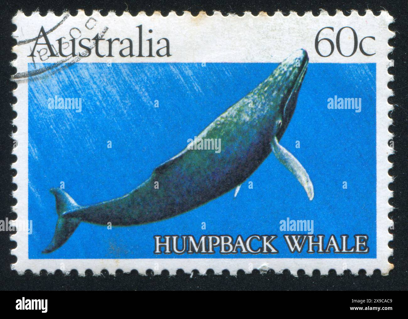 AUSTRALIA - CIRCA 1982: stamp printed by Australia, shows Humpback ...