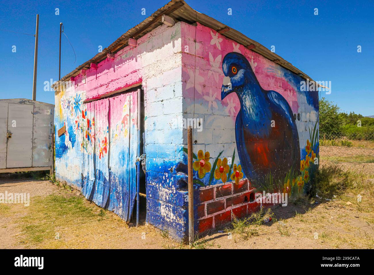 Dove on map in hi-res stock photography and images - Alamy