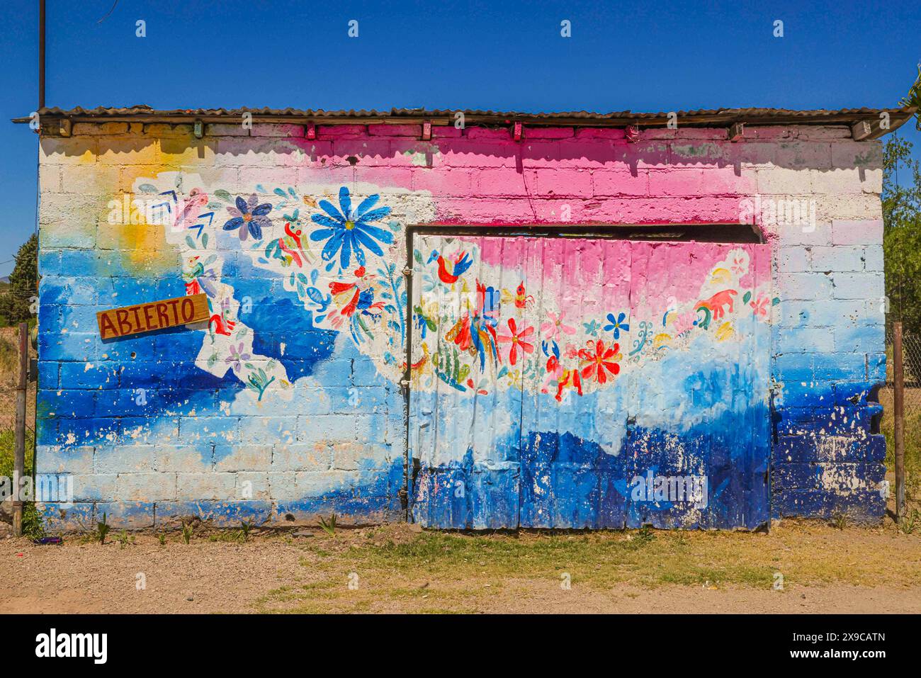 Mexico map mural painted in multiple colors, with birds, flowers ...