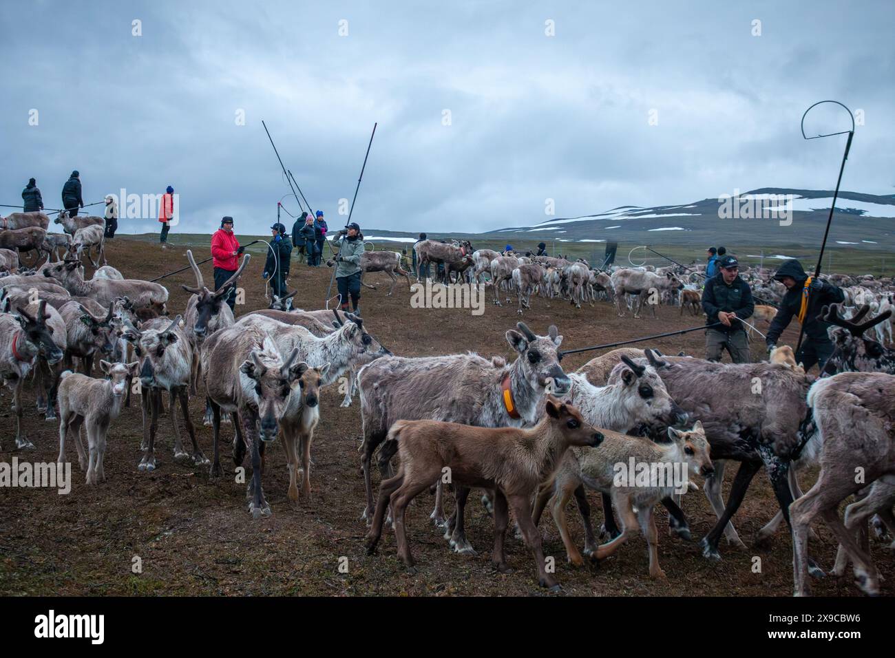 Sami national day event hi-res stock photography and images - Alamy