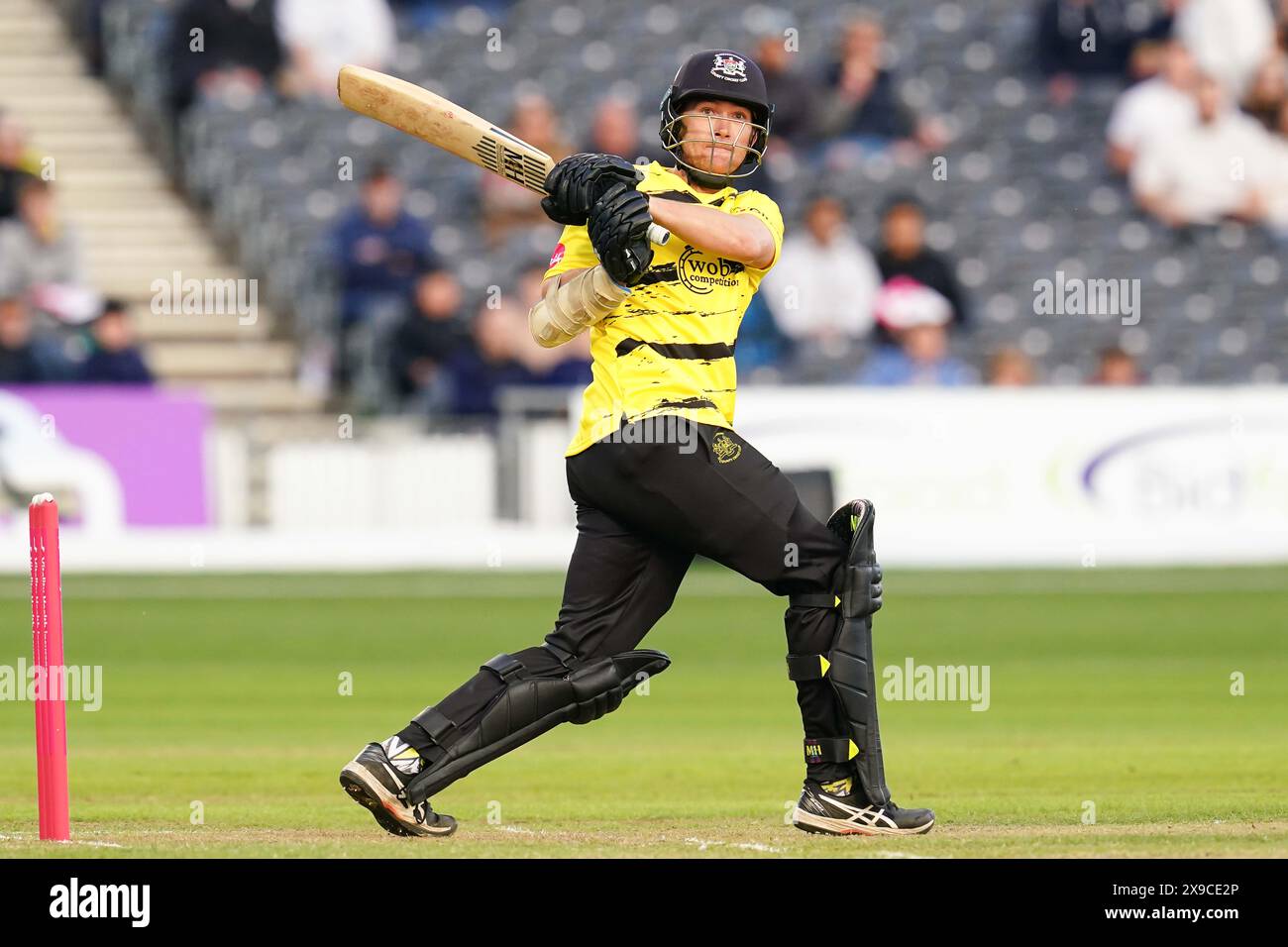 Bristol, UK, 30 May 2024. Gloucestershire's James Bracey batting during ...