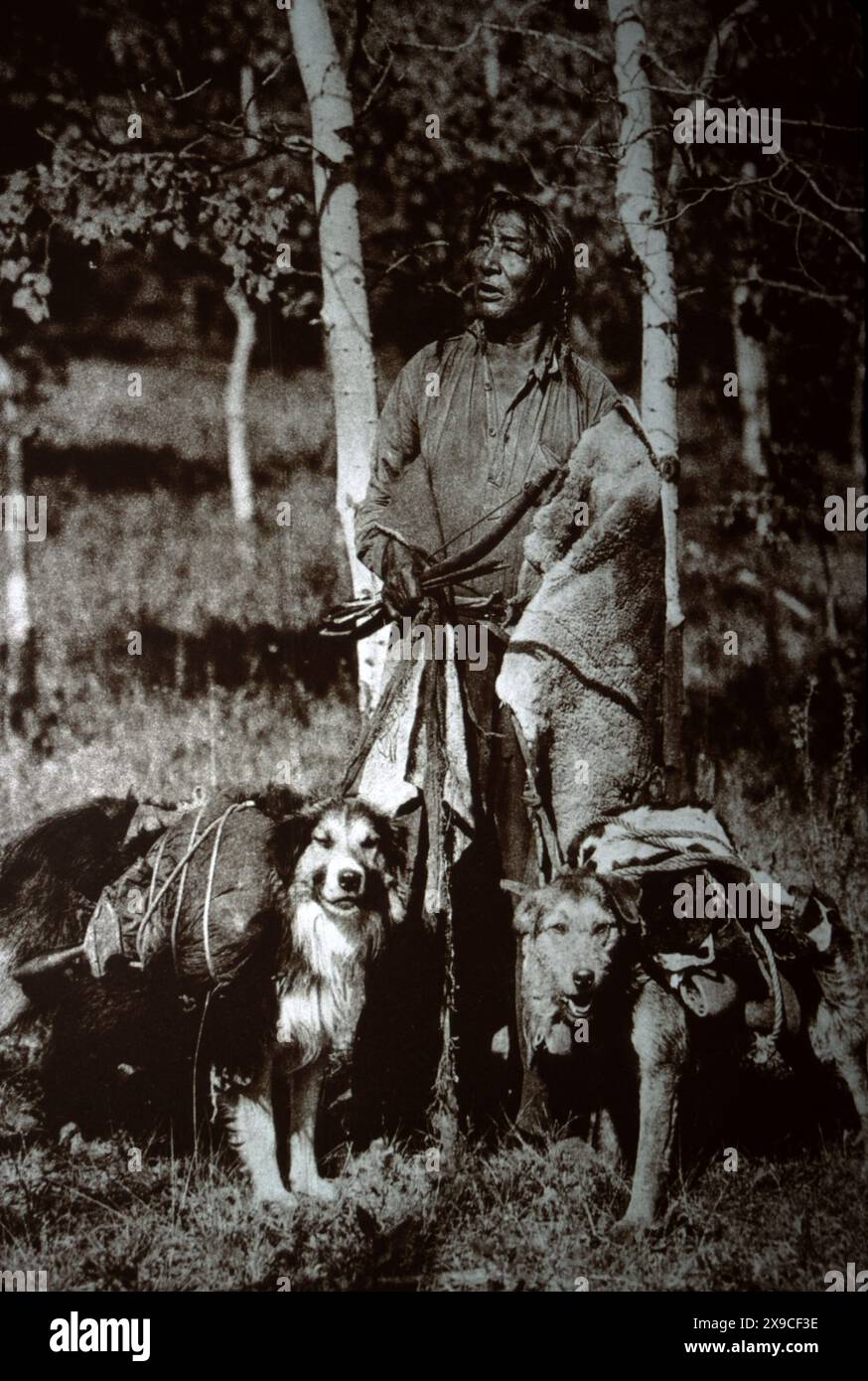 Cody, WY. USA. 1987. Buffalo Bill Center of the West (formally>Buffalo ...
