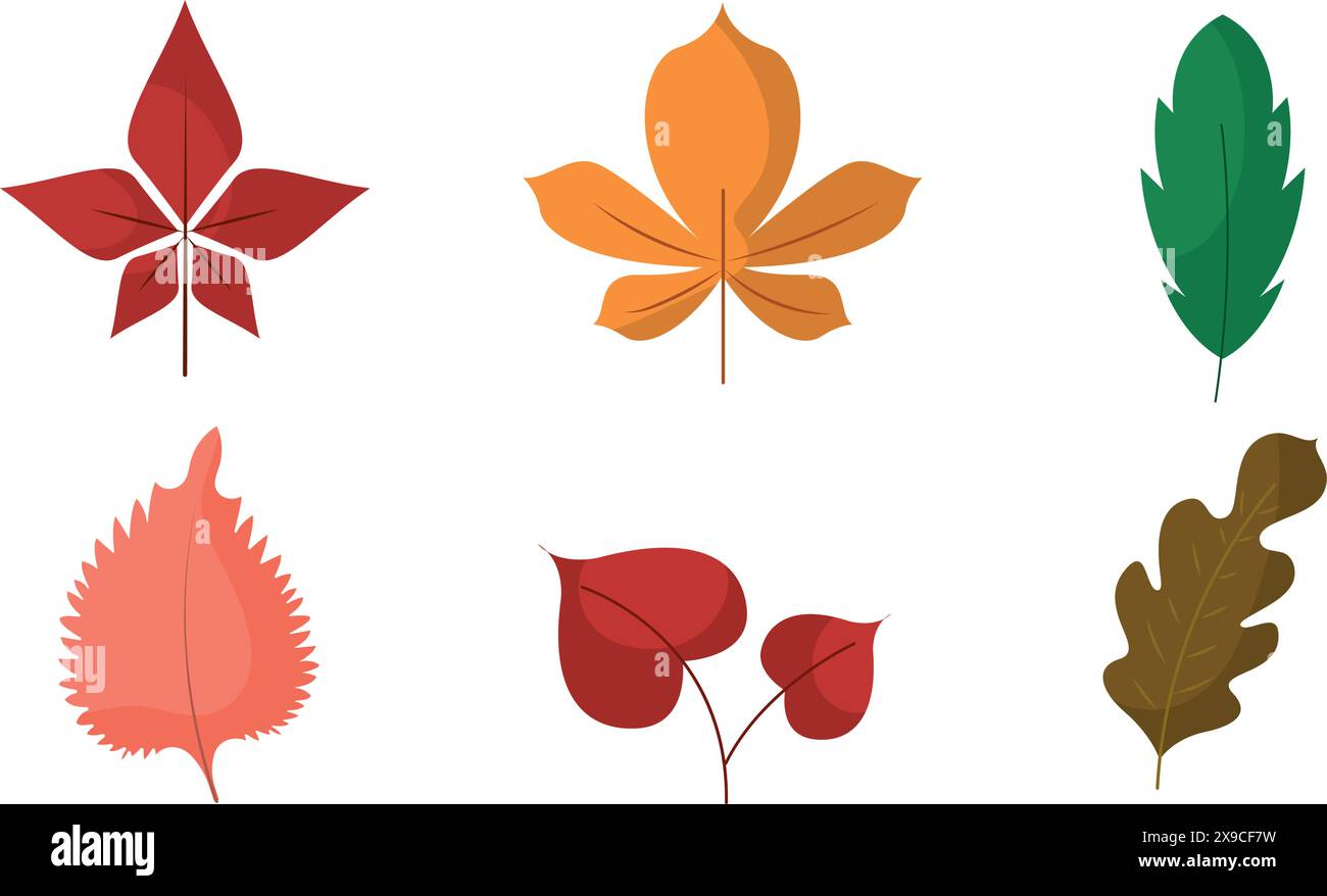 Colored leaves Icons set Vector Stock Vector Image & Art - Alamy