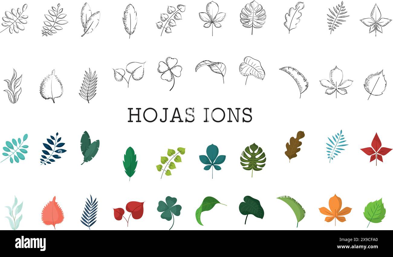 Colored leaves Icons set Vector Stock Vector Image & Art - Alamy