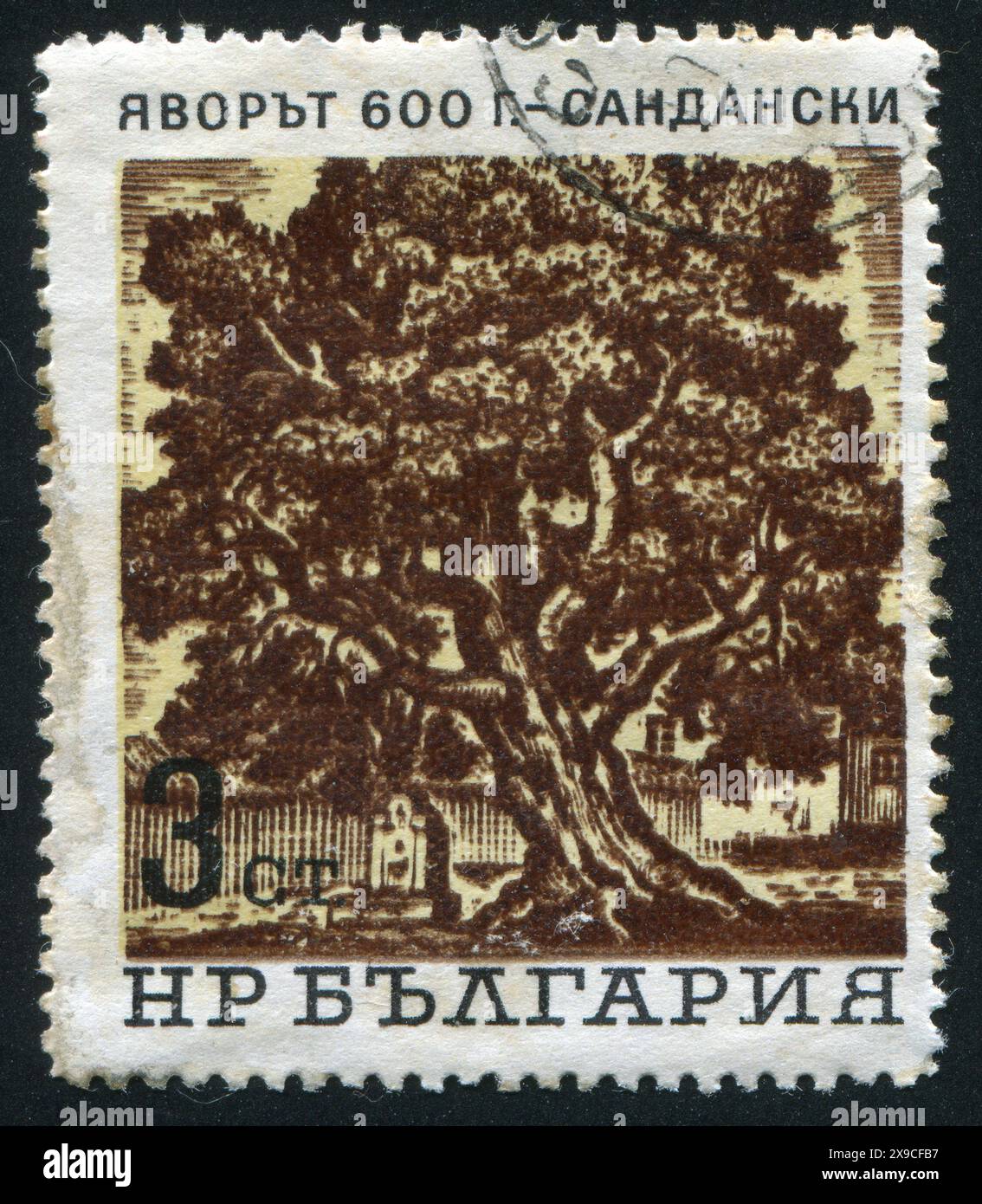 BULGARIA - CIRCA 1964: stamp printed by Bulgaria, shows Maple Tree in ...