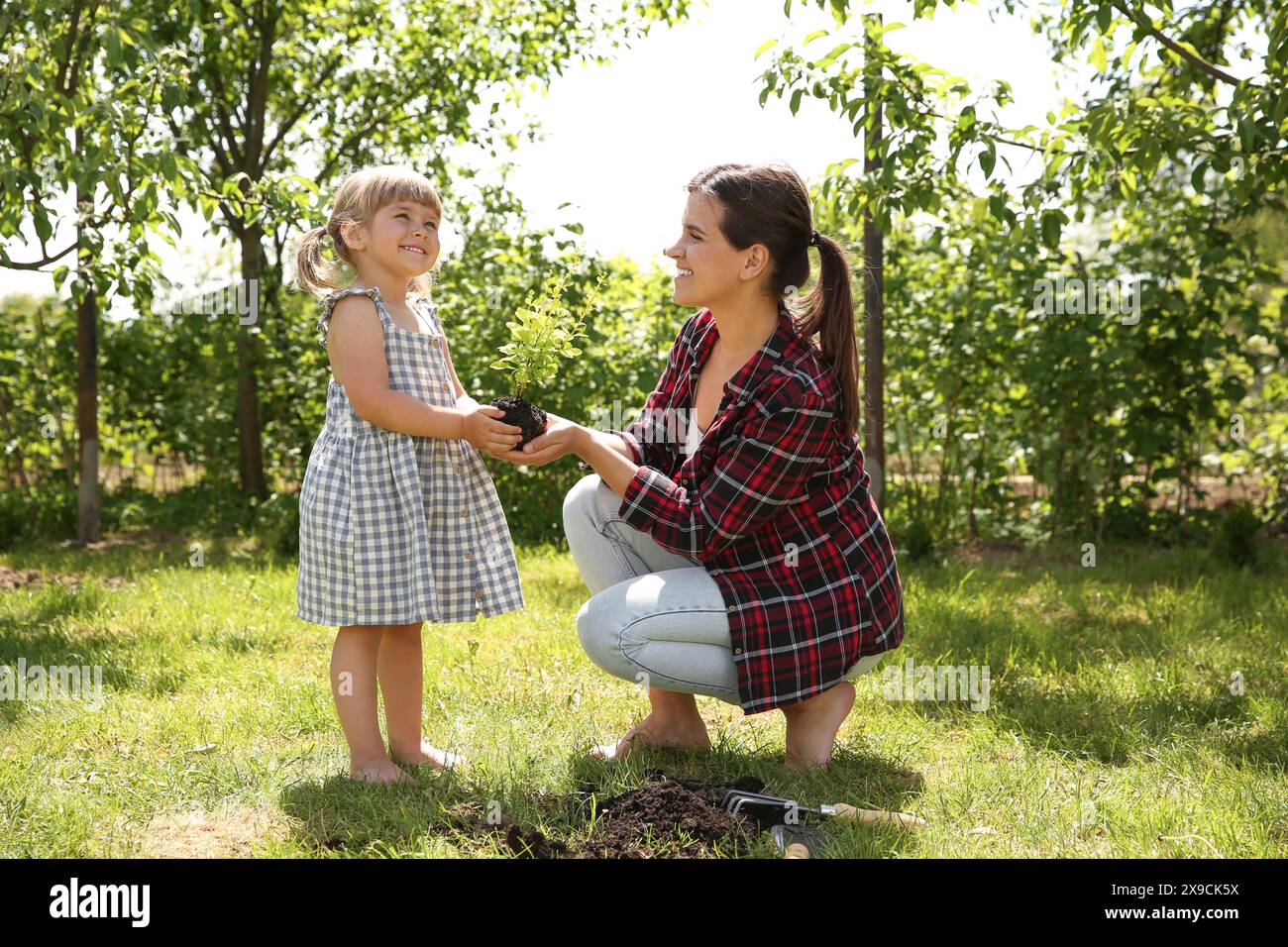 Mother and her daughter planting tree together in garden Stock Photo ...