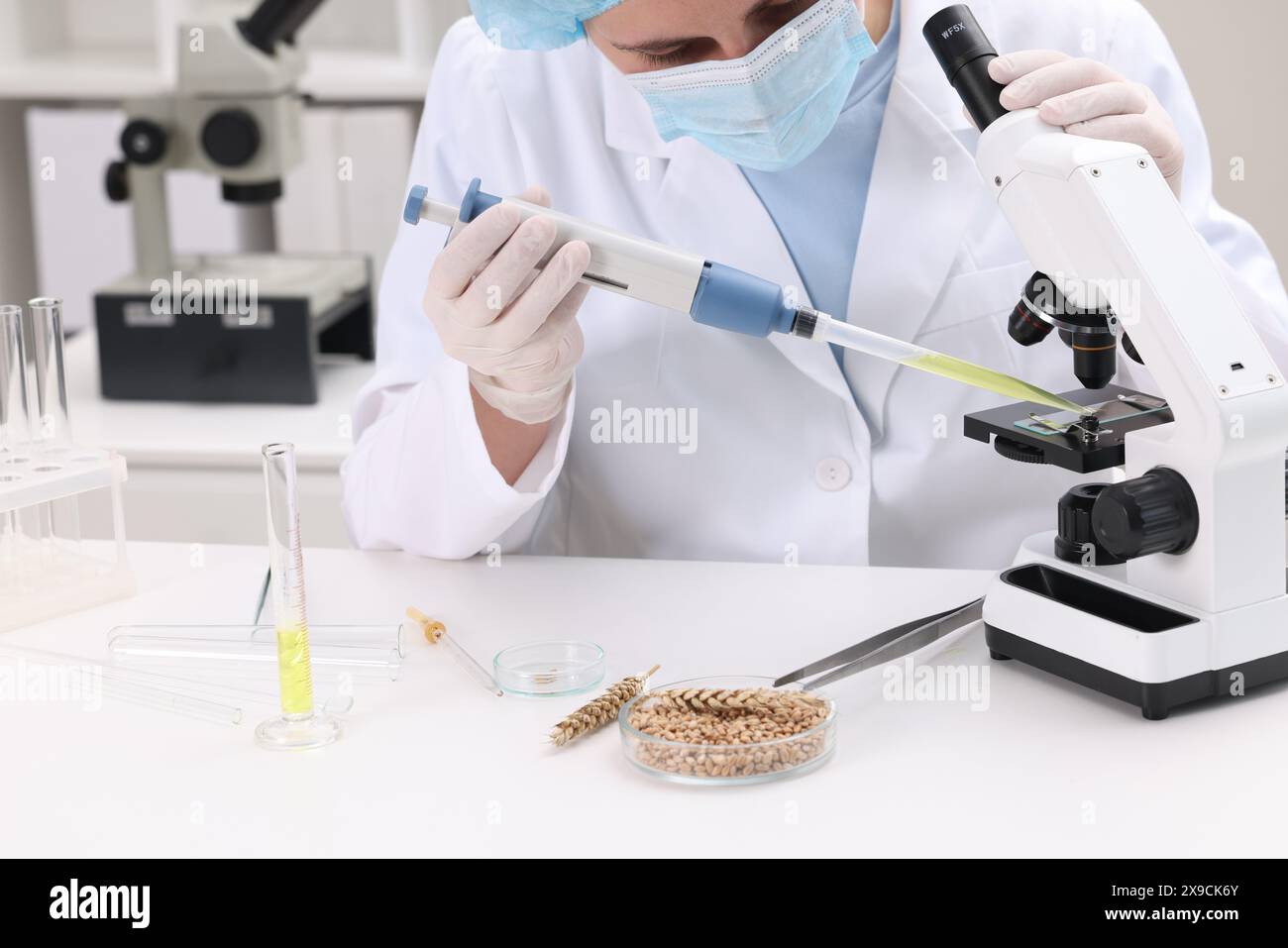 Quality control. Food inspector working in laboratory Stock Photo - Alamy