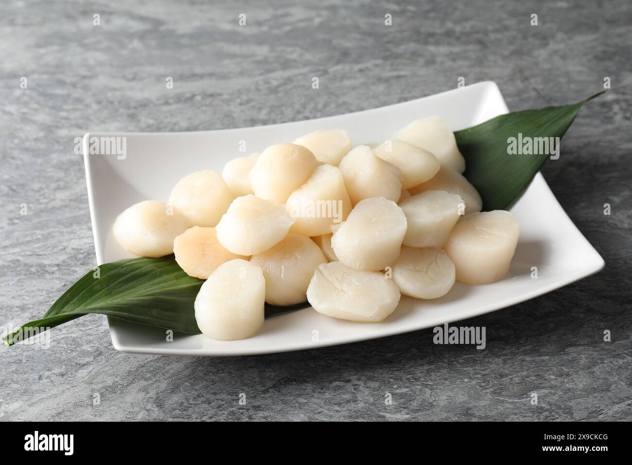 Fresh raw scallops on grey table. Seafood Stock Photo - Alamy